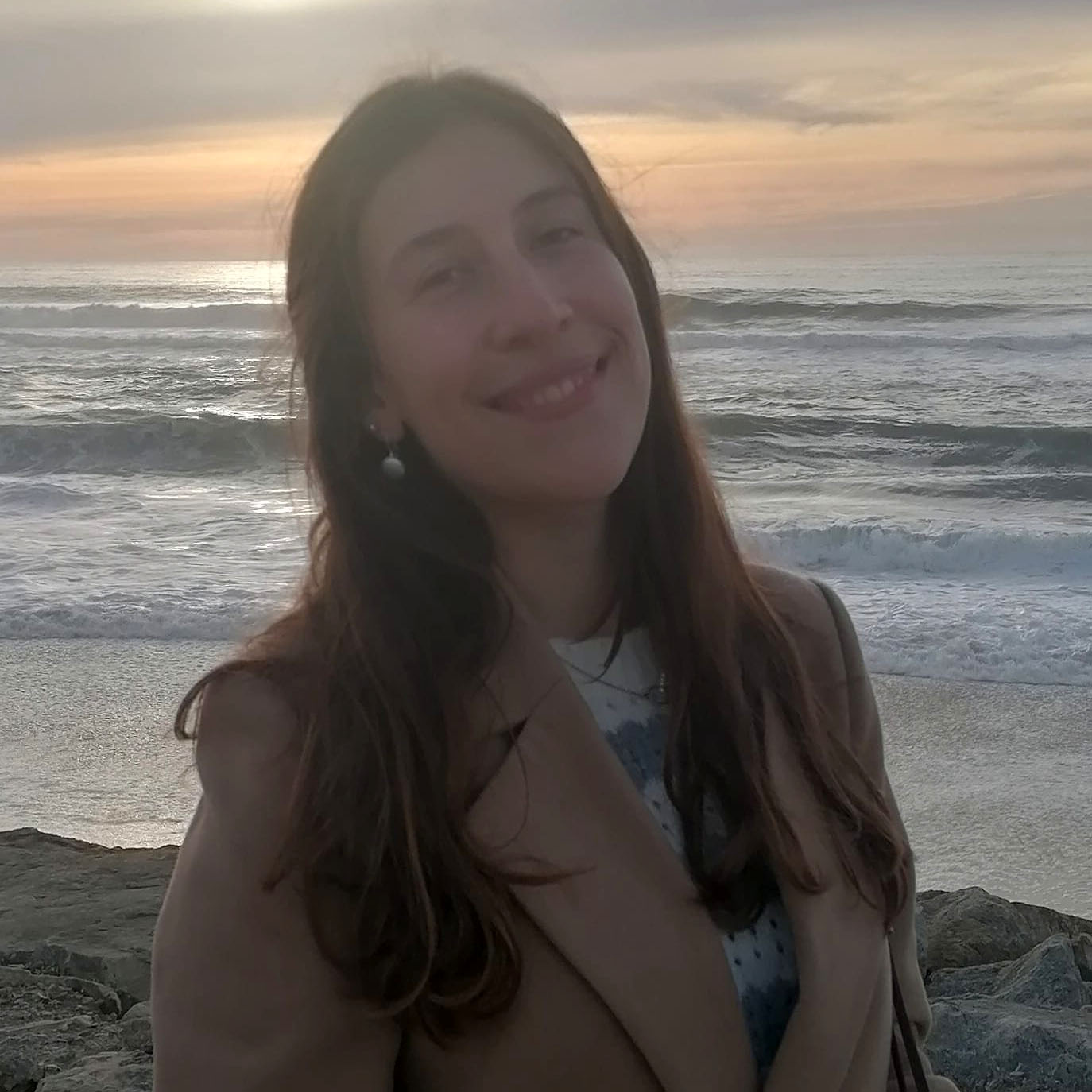 CICECO - Aveiro Institute of Materials » About » Organisational Structure