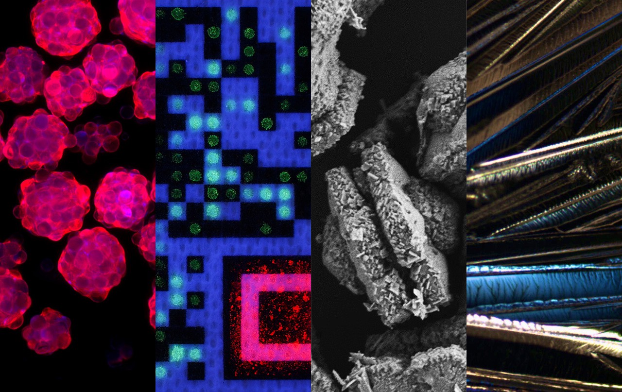 CICECO News » CICECO Young Scientist Program launch